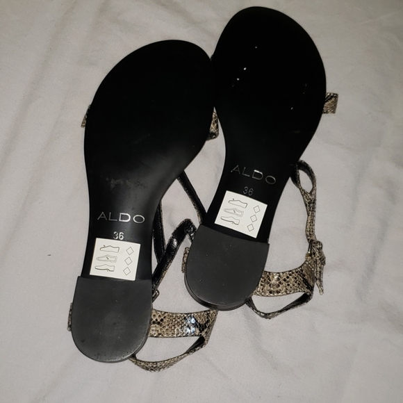 Aldo | Shoes | Brand New Aldo Snake Print Size 55 | Poshmark